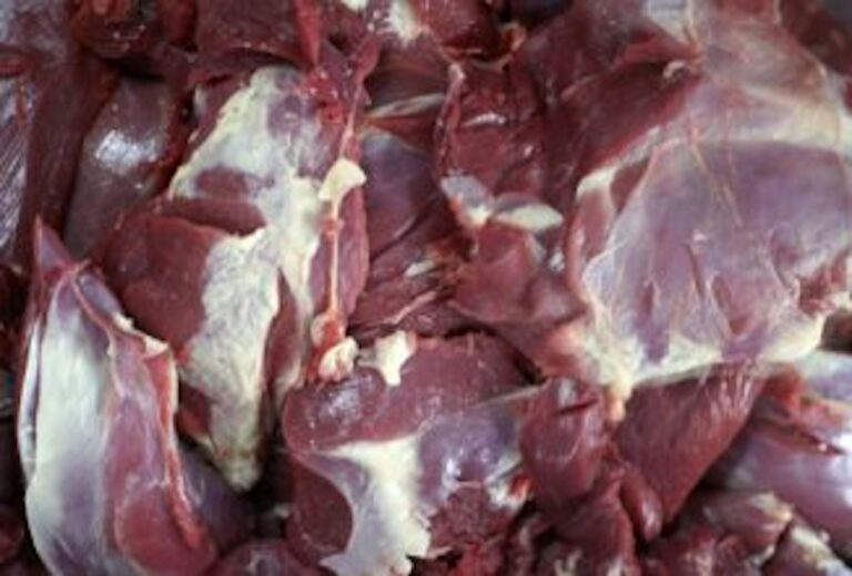 Tips for Successful Wild Game Meat Processing - Countryside